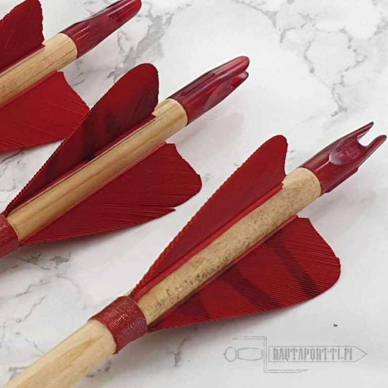 Youth Bow Arrow with Field Point - Irongate Armory